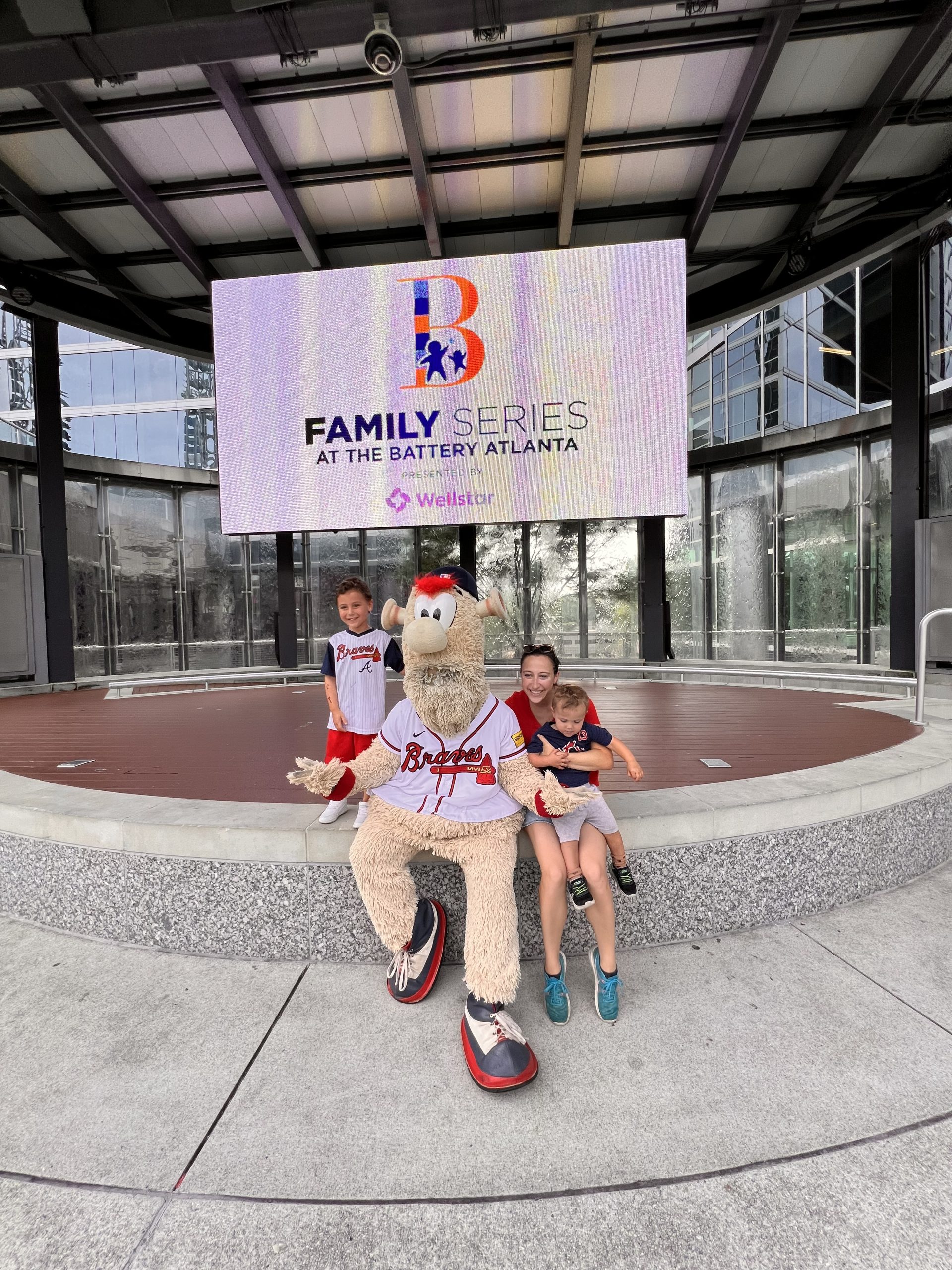 Wellstar Family Series Guide - BatteryATL